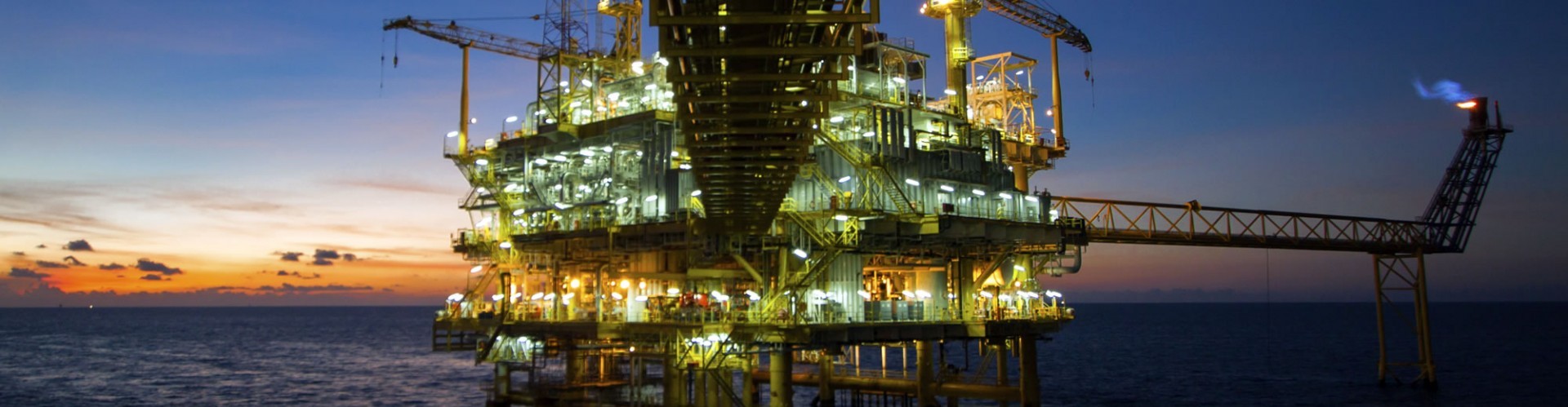 asset integrity and anomaly management software